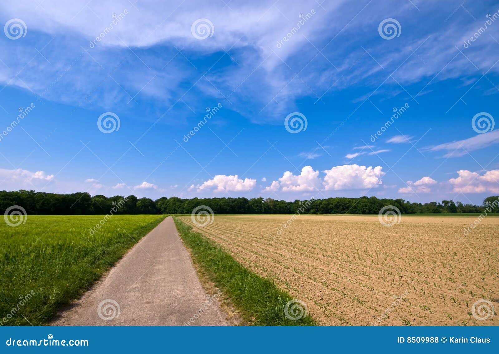 Rural scenery with road stock photo. Image of landscape - 8509988