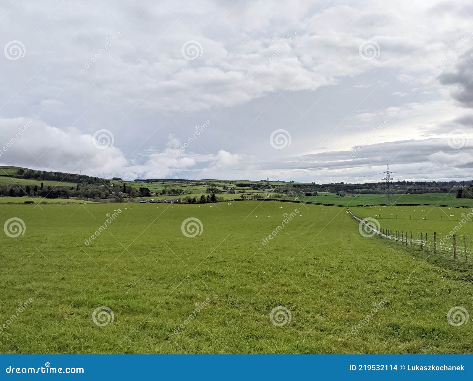 Rural Scotland - Green Fields and Agriculture Landscape in Spring Stock ...