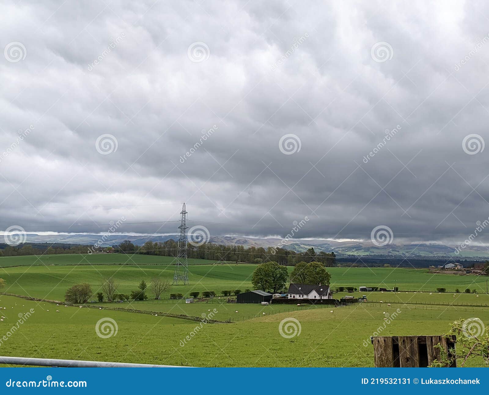 Rural Scotland - Green Fields and Agriculture Landscape in Spring Stock ...