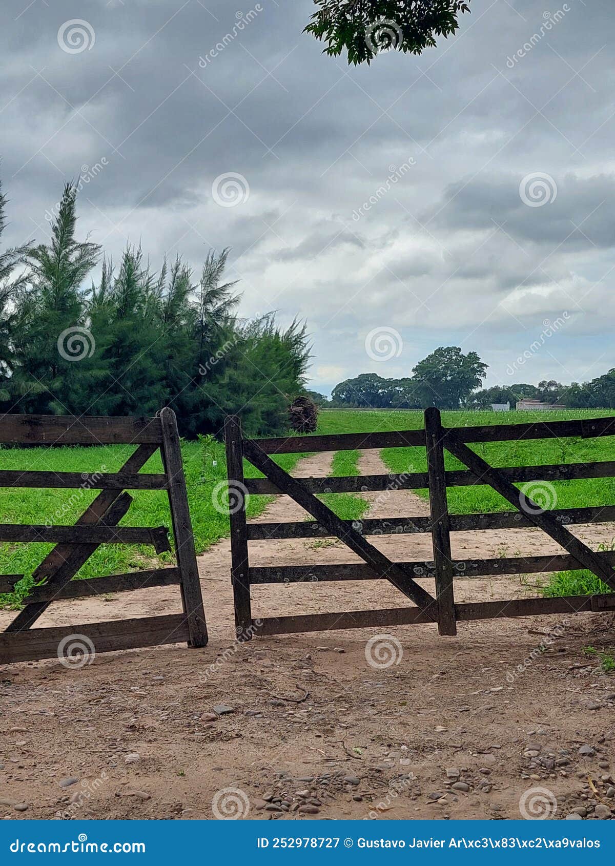 The Rural Senery in Landscape Stock Image - Image of yard, farm: 252978727