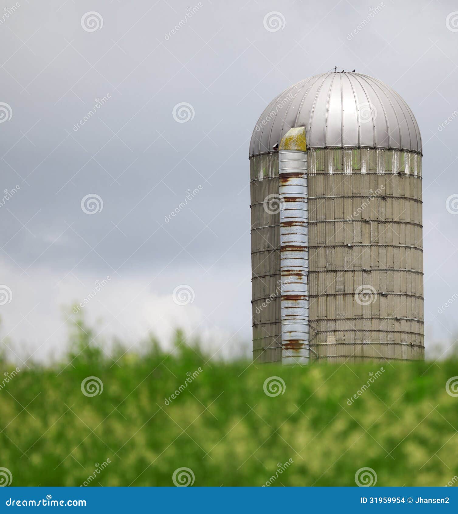 Rural Silo Scene stock photo. Image of outside, autumn - 31959954