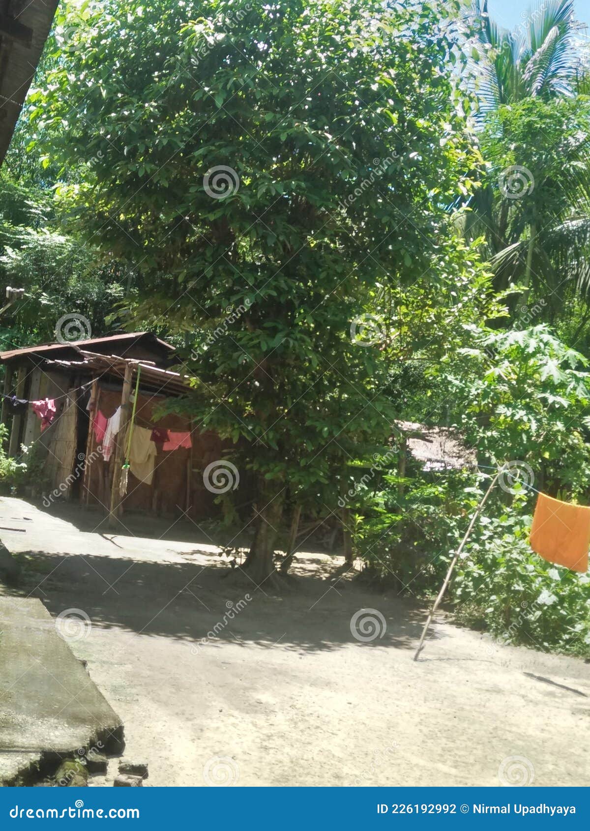 A Rural Site of a Village in Assam Stock Photo - Image of assam, rural ...