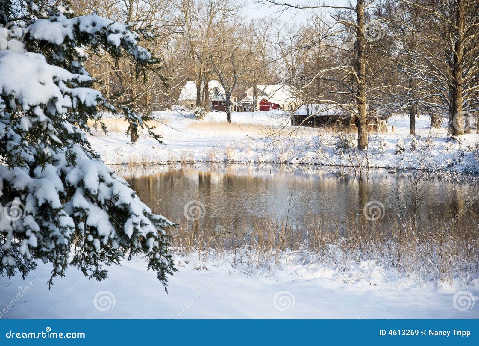 Rural Snow Scene stock image. Image of calm, morning, water - 4613269