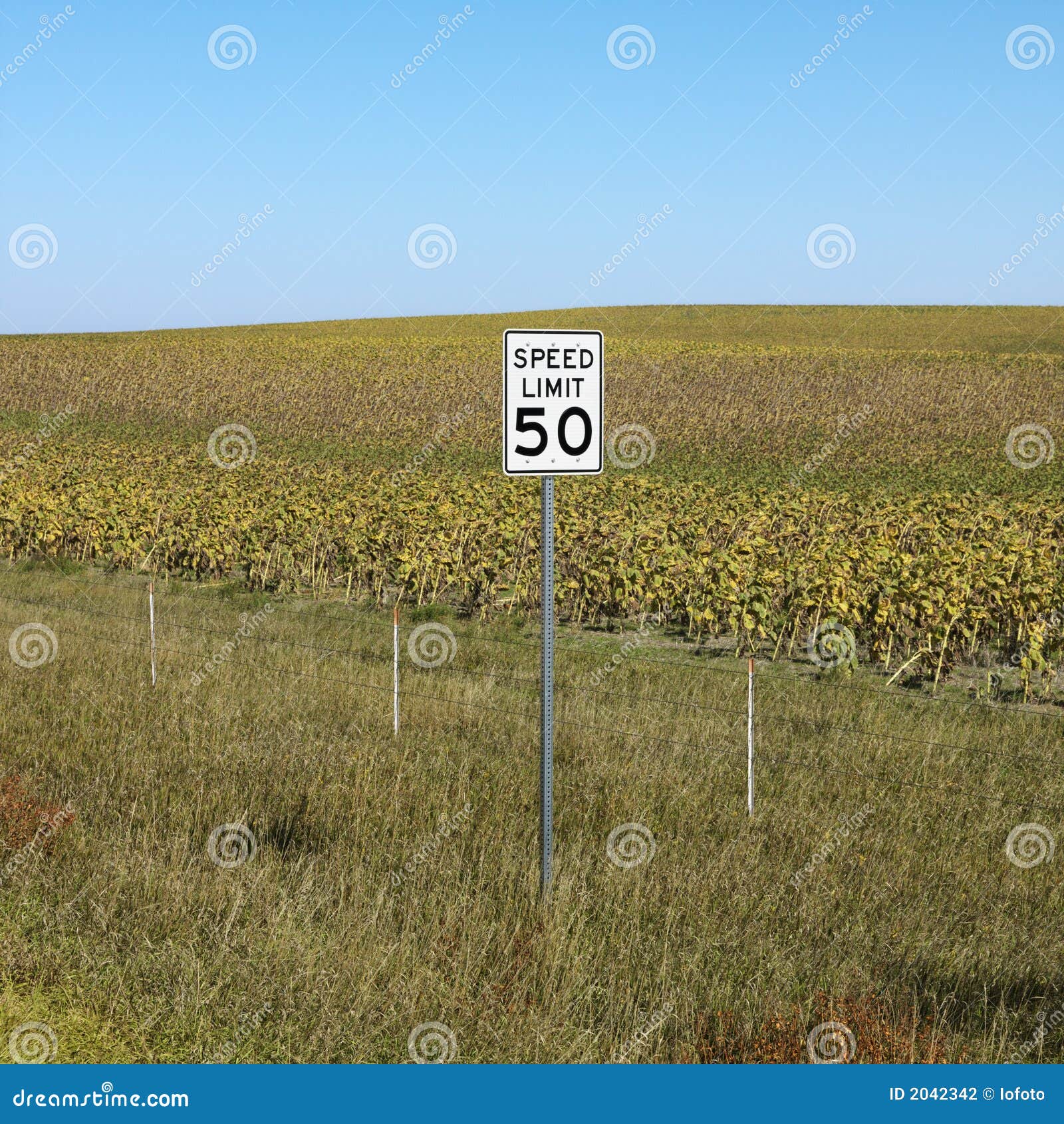Rural speed limit sign. stock photo. Image of road, photograph - 2042342