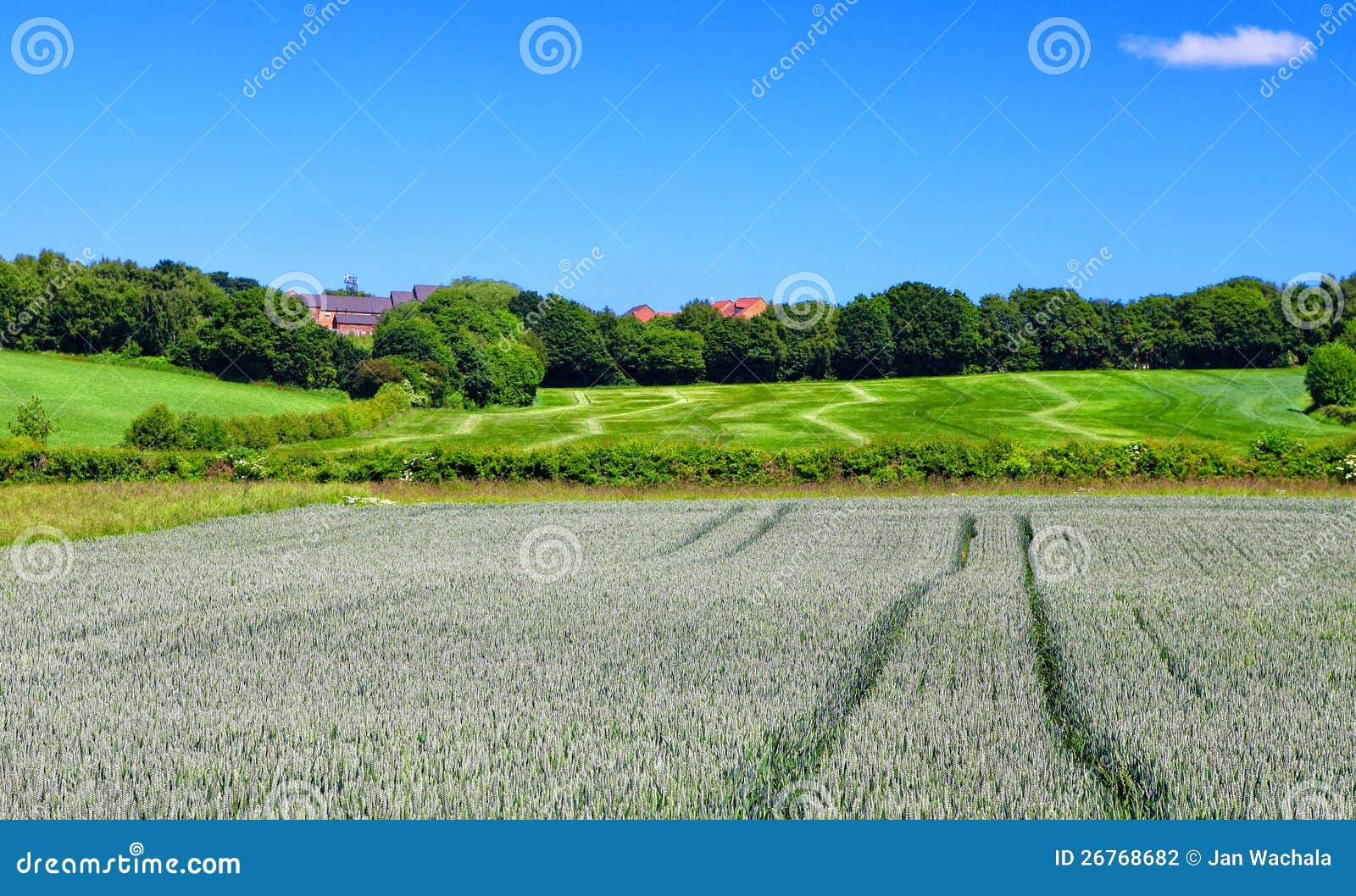 Rural spring landscape stock photo. Image of panorama - 26768682