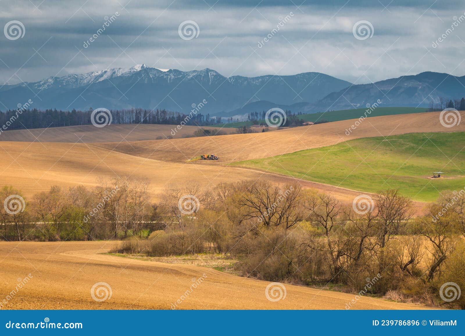 Rural Spring Landscape, Agricultural Fields with Mountains on Ba Stock ...