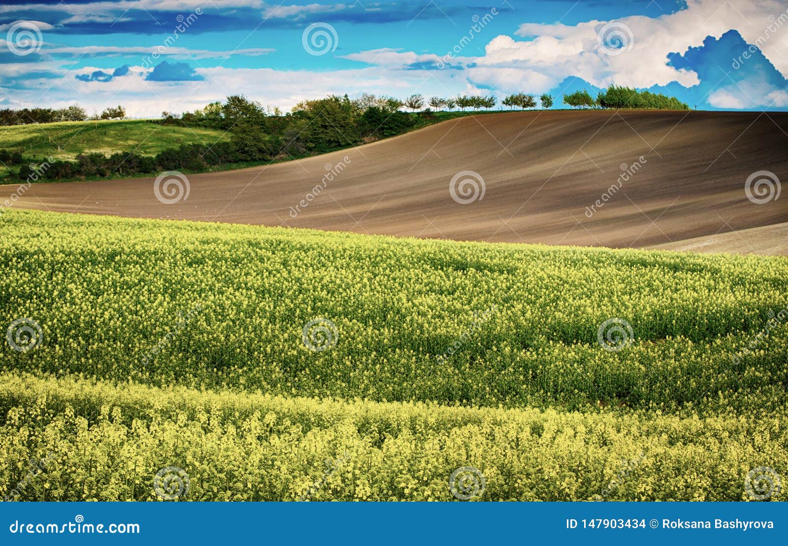 Rural spring landscape stock photo. Image of blue, background - 147903434