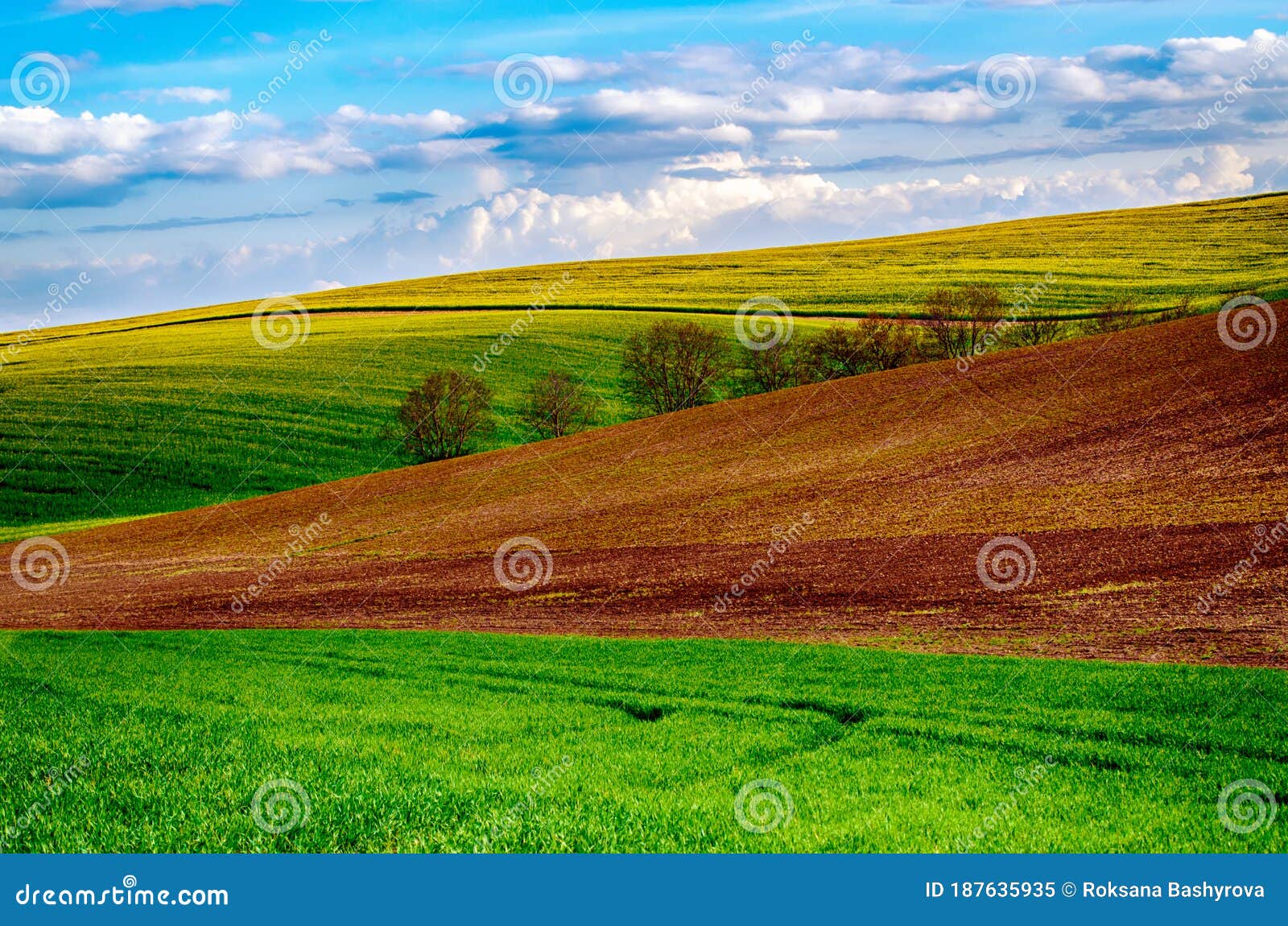 Rural spring landscape stock image. Image of light, moravia - 187635935