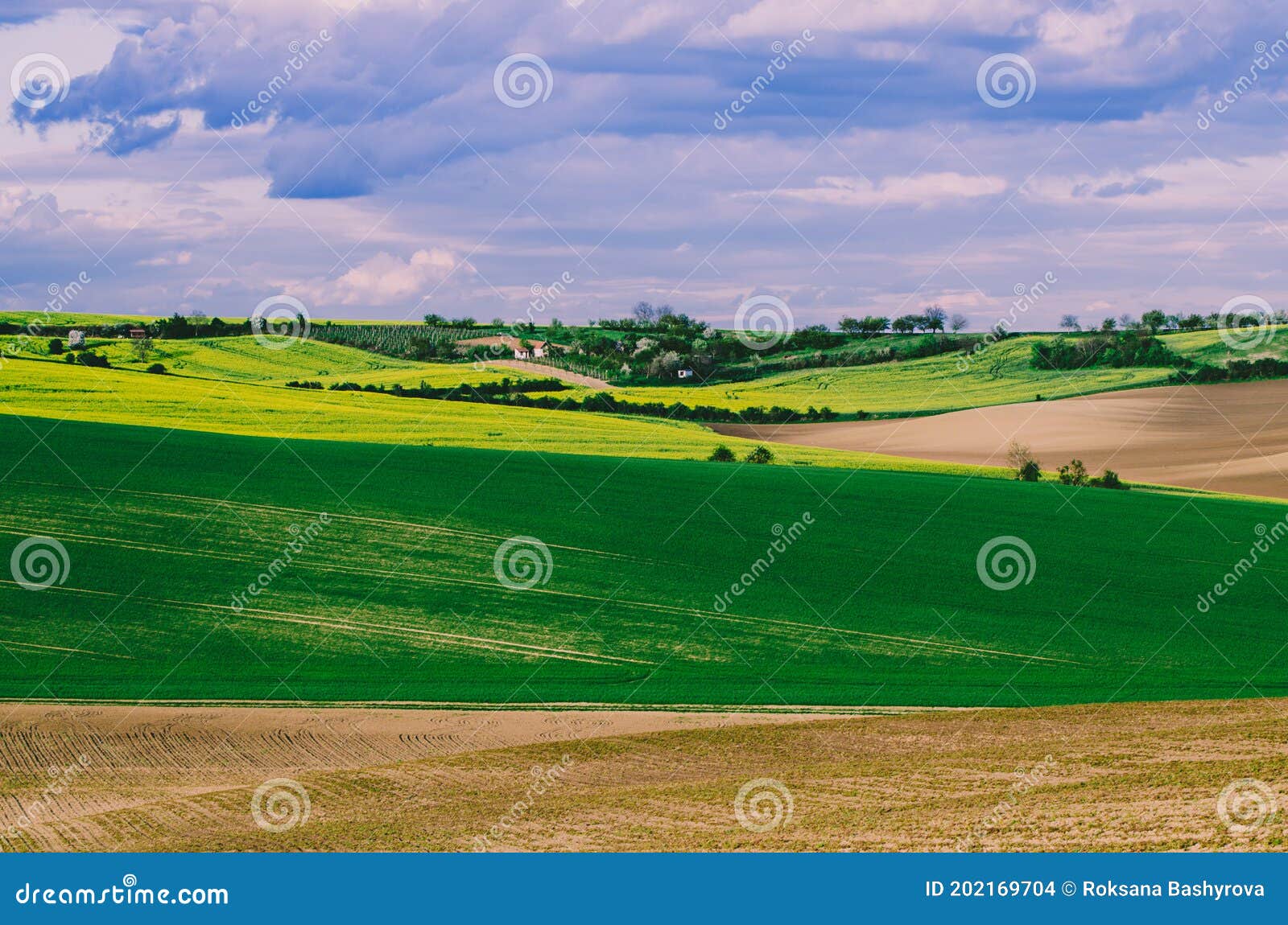 Rural spring landscape stock photo. Image of background - 202169704