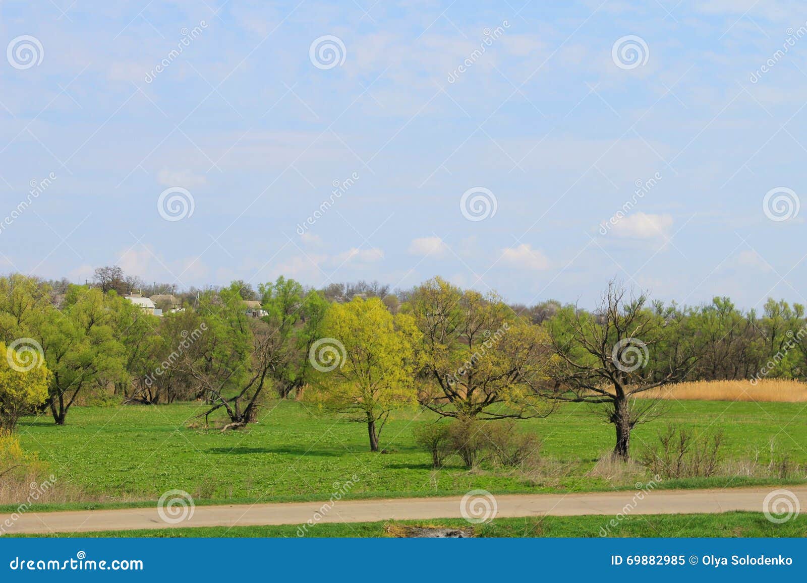 Rural spring landscape stock image. Image of rural, green - 69882985