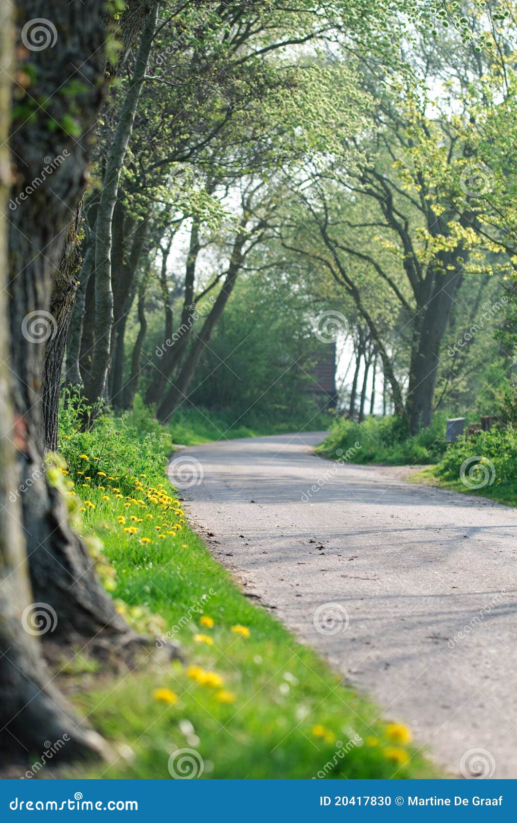 Rural spring road stock photo. Image of soft, landscape - 20417830