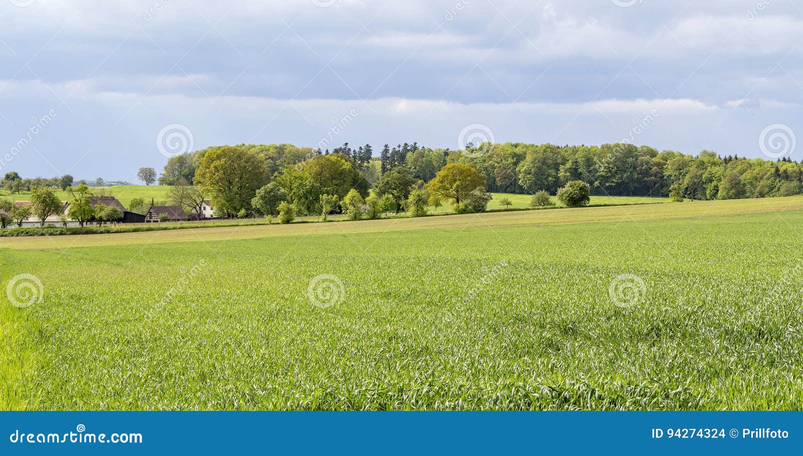 Rural springtime scenery stock photo. Image of hayfield - 94274324