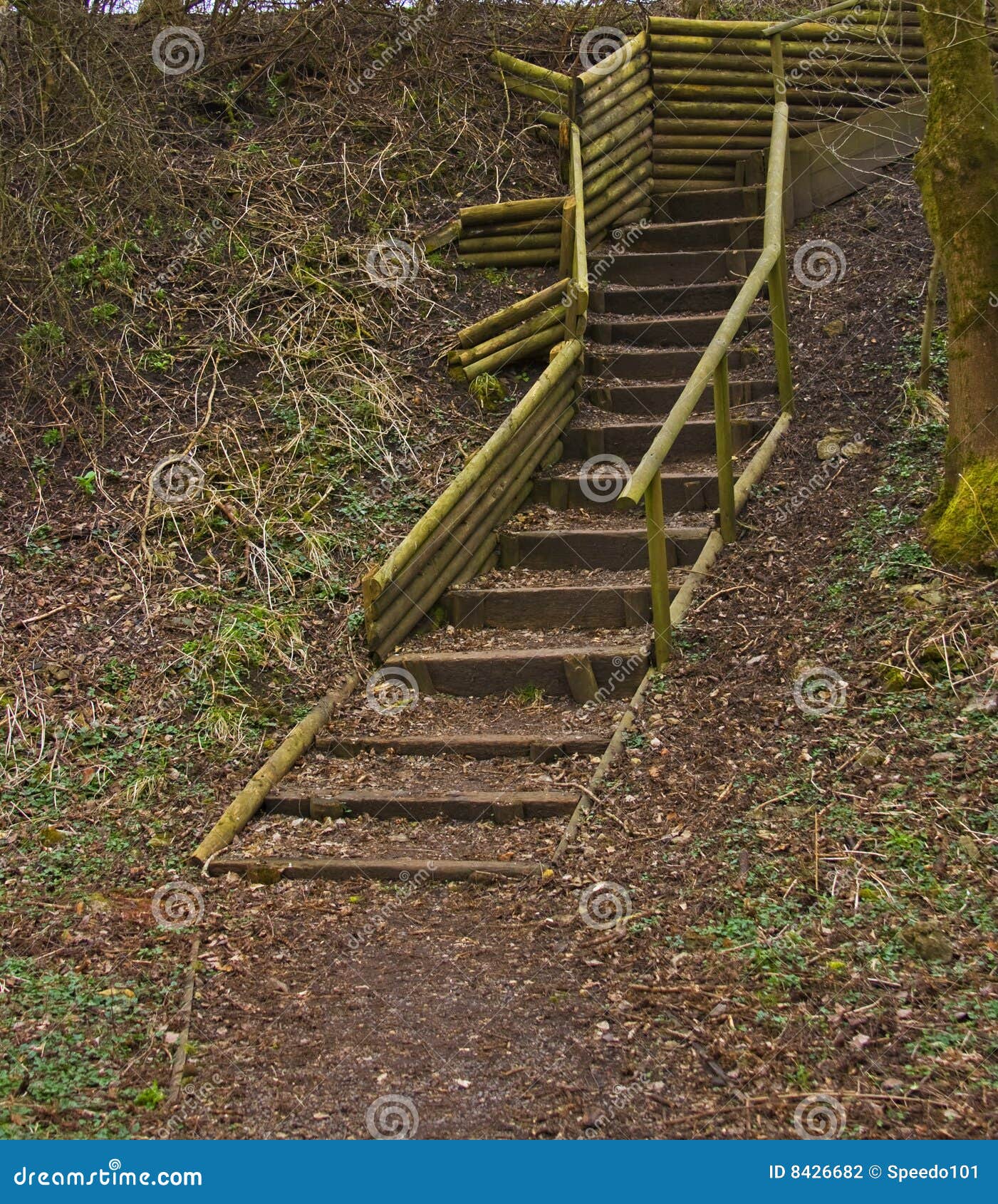 Rural steps stock photo. Image of scenic, environment - 8426682