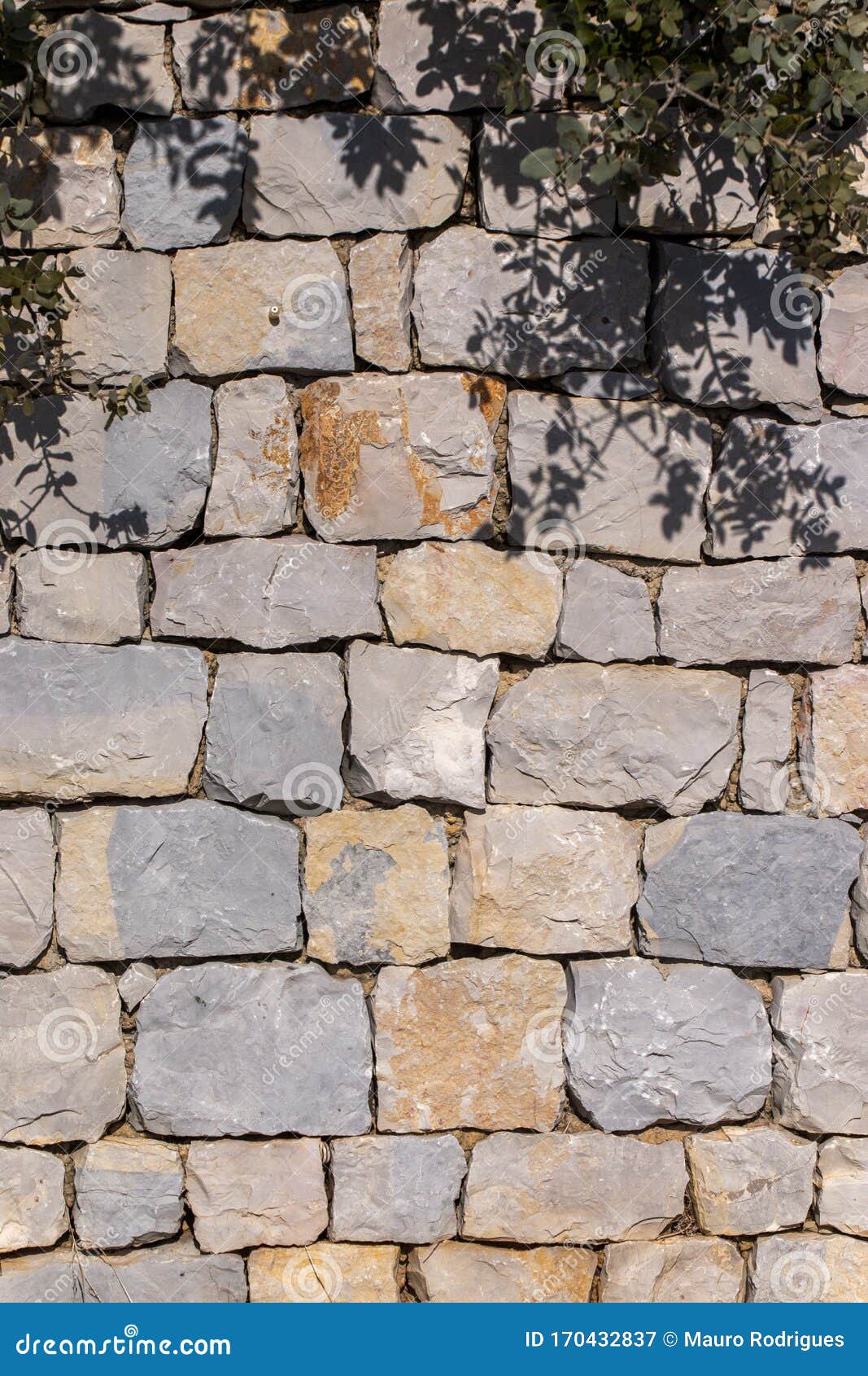 Rural Stone Wall Texture with Tree Leaves Stock Image - Image of ...