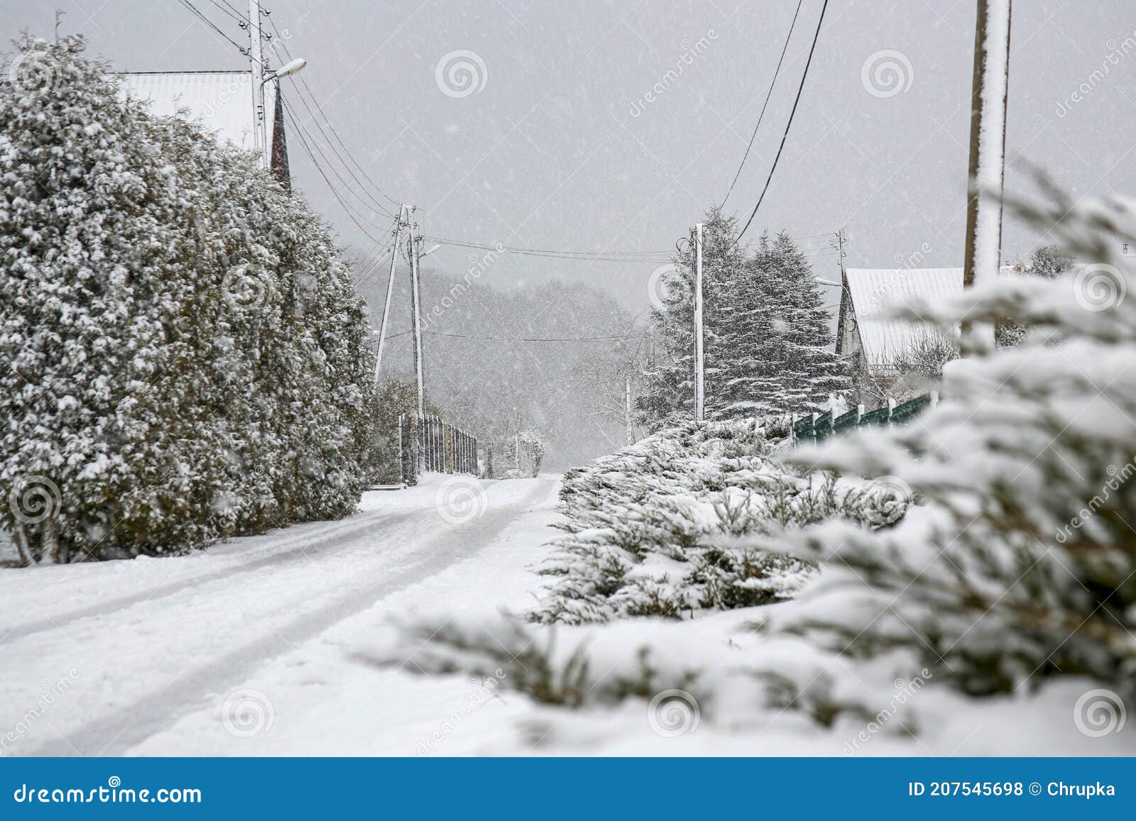 Rural Street during Snowstorm Stock Photo - Image of nature, blizzard ...