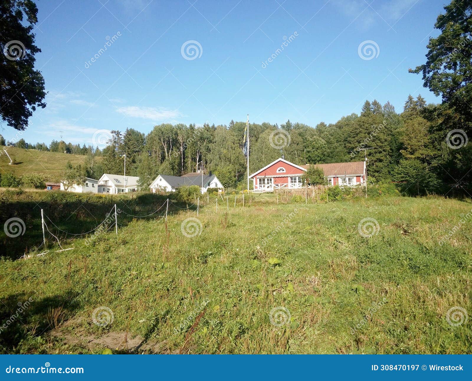 Rural Structures on a Grassy Green Field Surrounded by Trees Stock ...