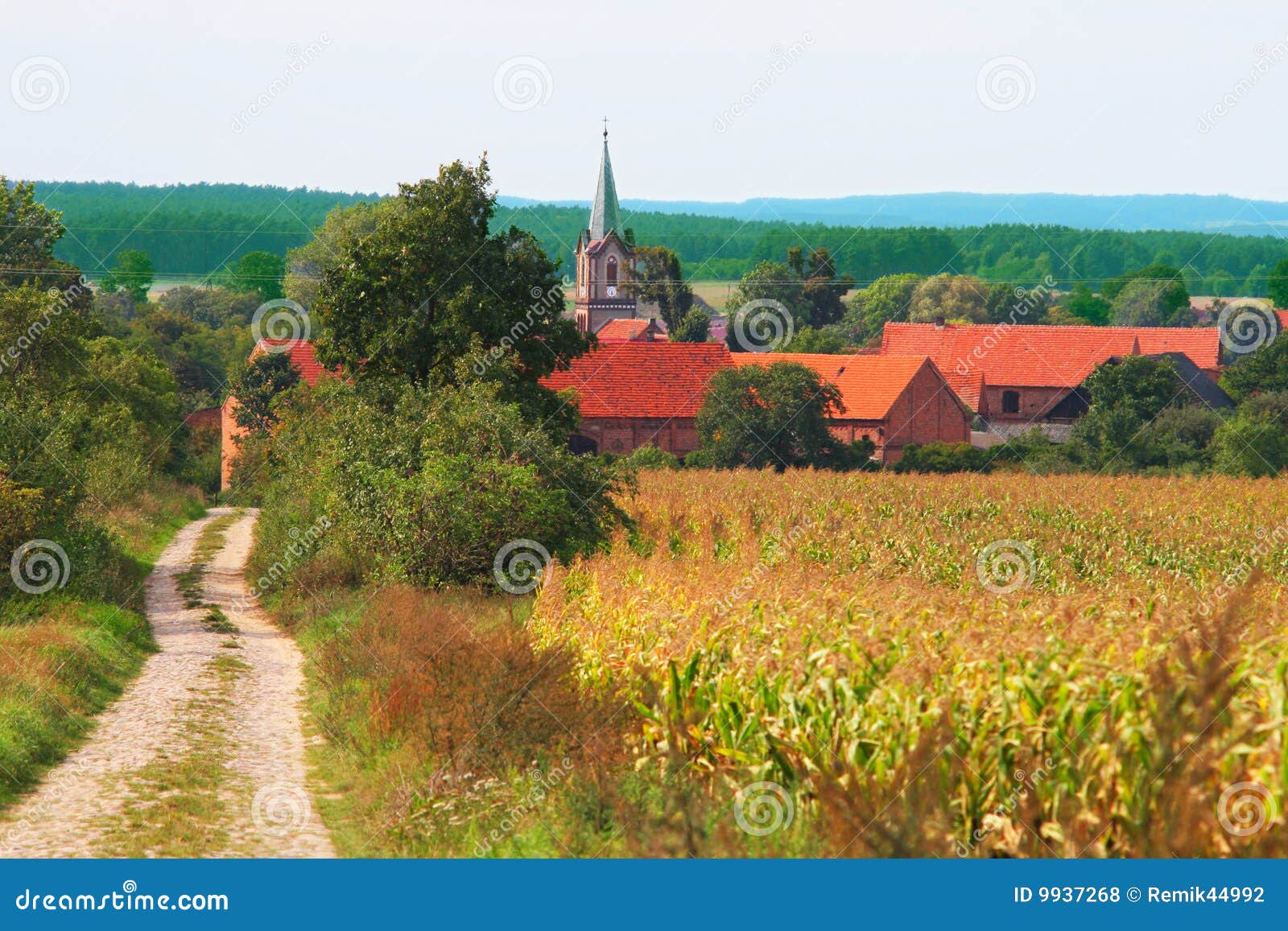 Rural summer landscape stock photo. Image of rural, culture - 9937268