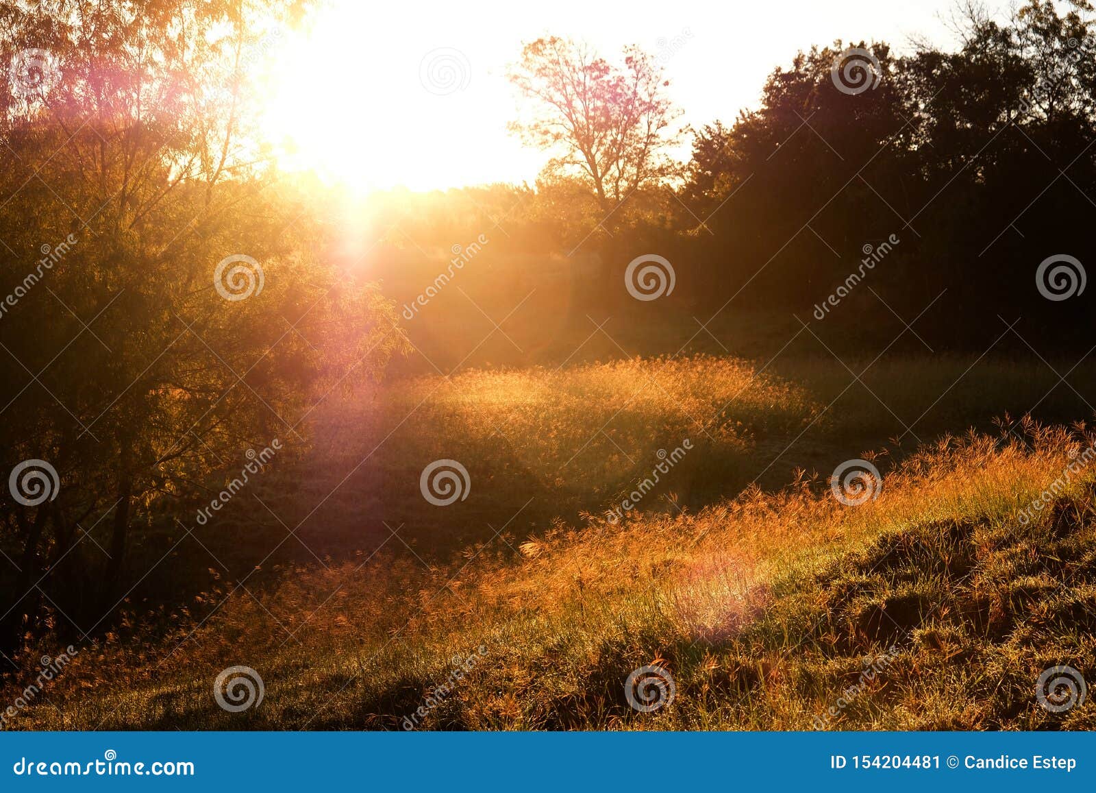 Golden Rural Sunrise Over Farm Pasture Stock Image - Image of hills ...