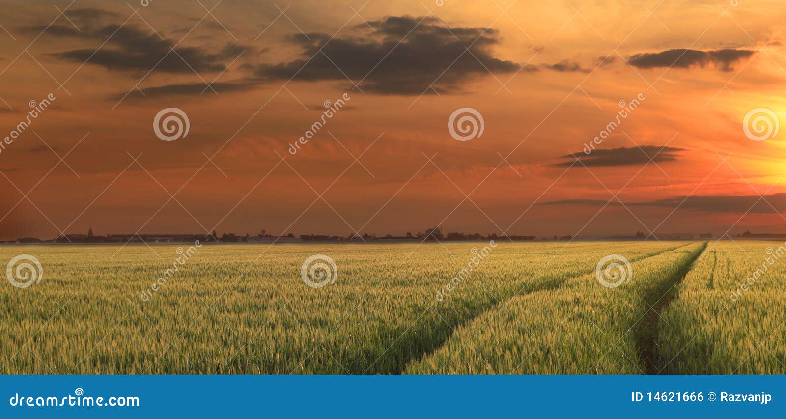 Rural sunset stock photo. Image of summer, perspective - 14621666