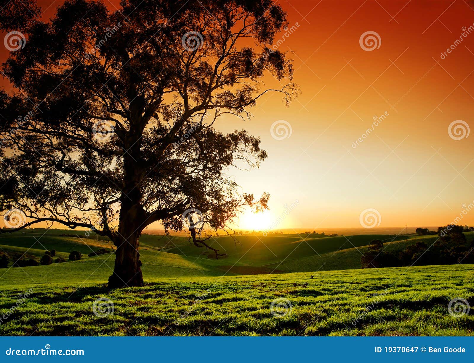 Rural Sunset stock image. Image of australia, field, horizon - 19370647