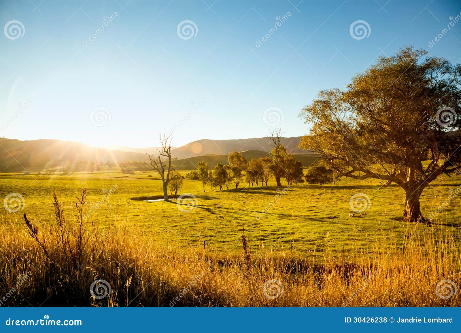 Rural sunset stock photo. Image of season, nature, hills - 30426238