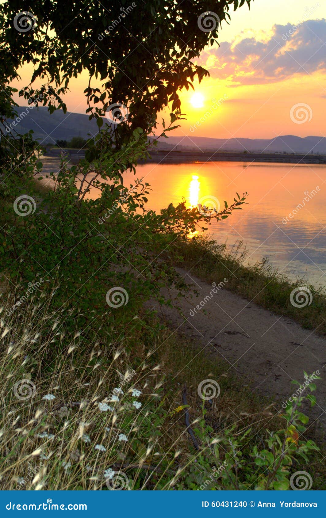 Rural sunset stock photo. Image of peaceful, flowers - 60431240