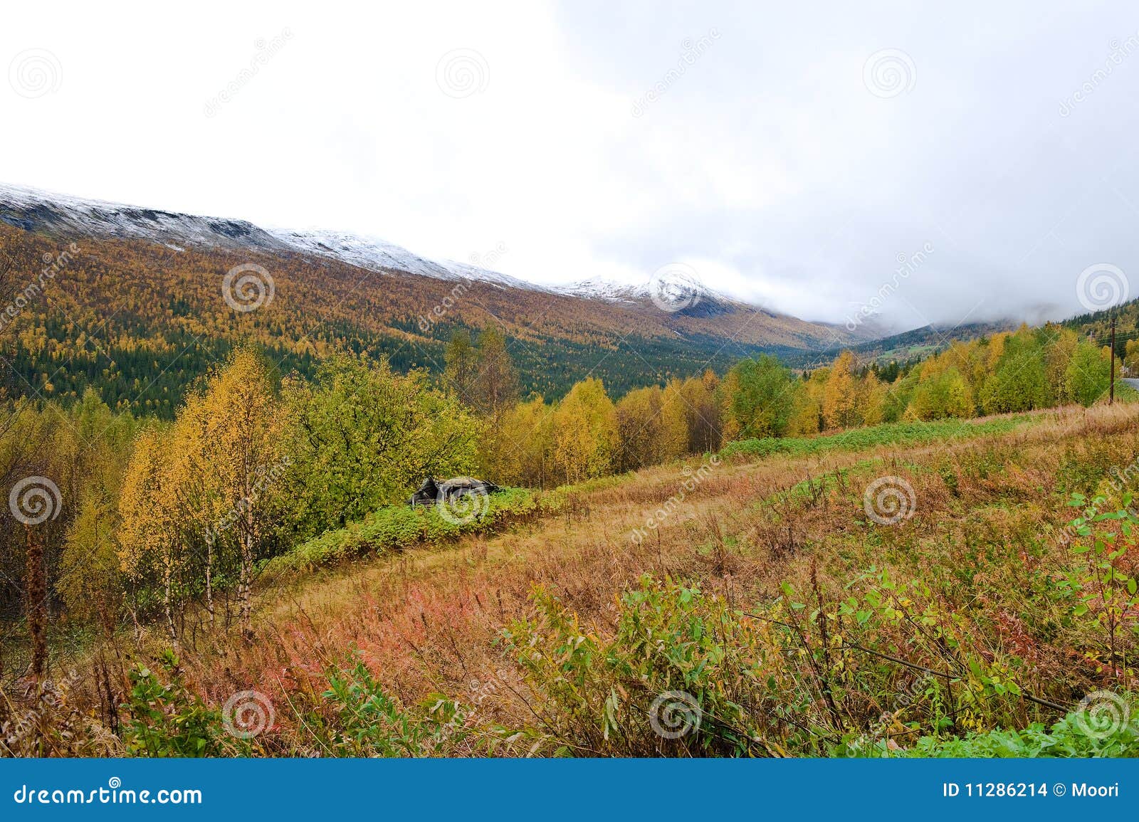 Rural sweden stock photo. Image of peaceful, autumn, countryside - 11286214