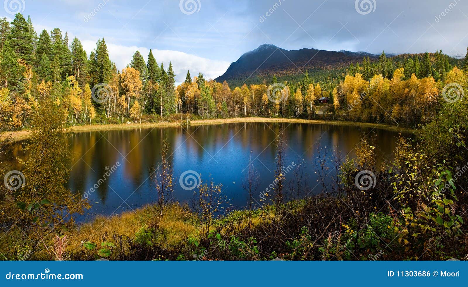 Rural sweden stock photo. Image of calm, colorful, rural - 11303686