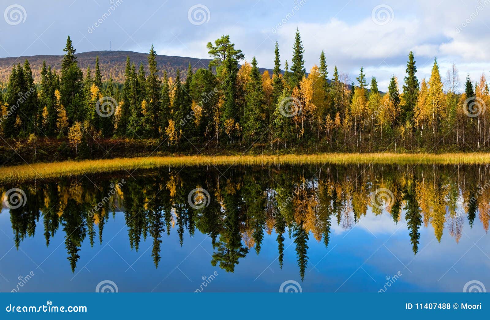 Rural sweden stock photo. Image of autumn, colorful, rural - 11407488