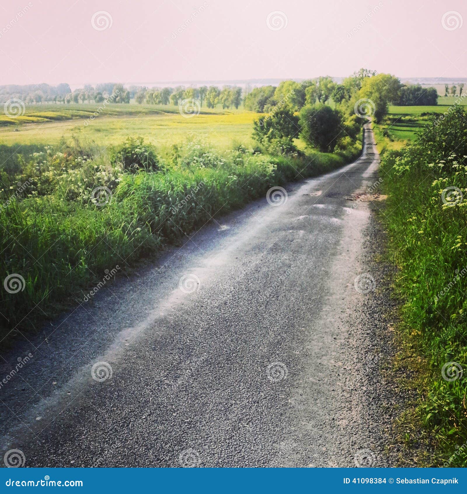 Rural Tarmac Road in Poland Stock Photo - Image of trees, path: 41098384