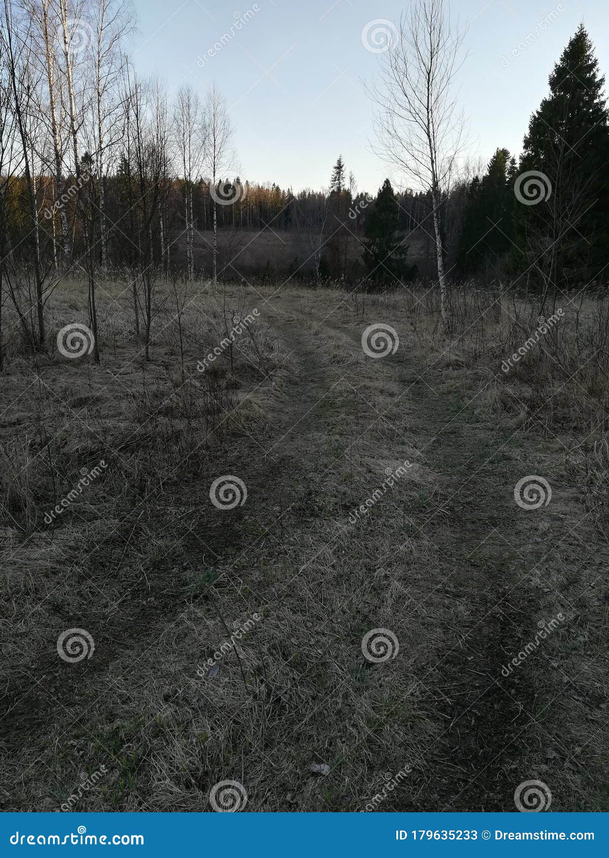 Rural trail stock image. Image of woods, path, nature - 179635233
