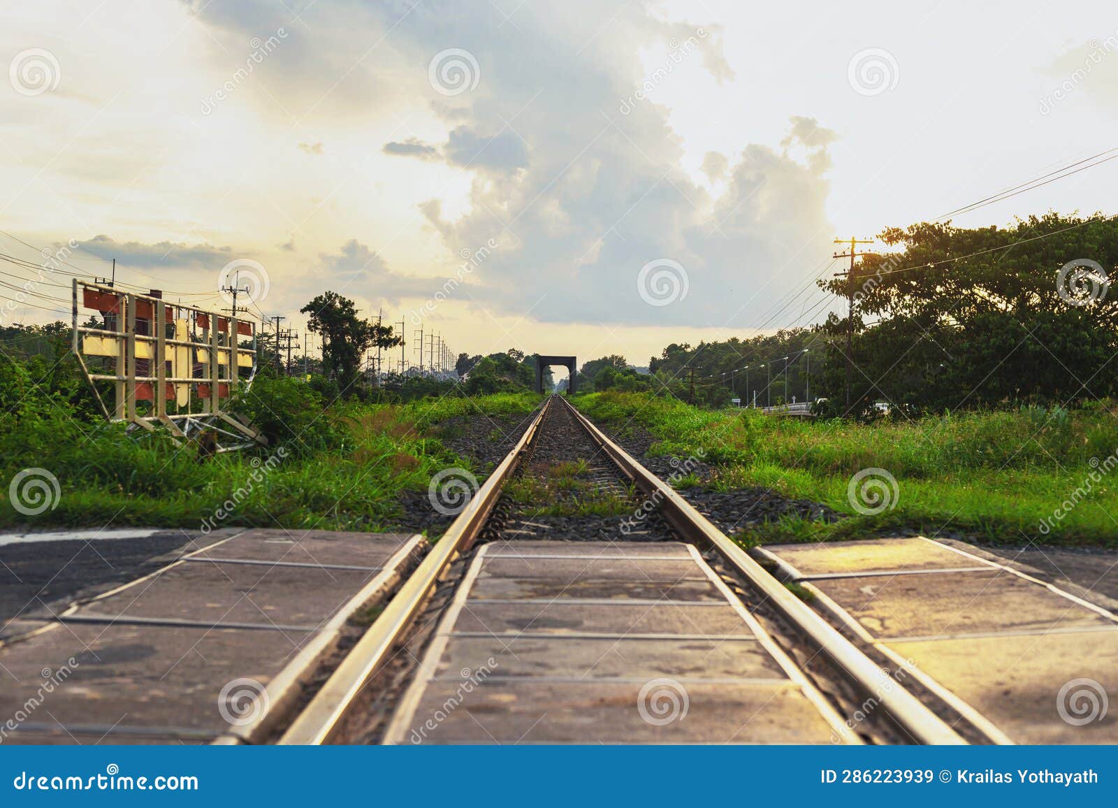 Rural Train Tracks with Beautiful Nature on Both Sides of the Road ...