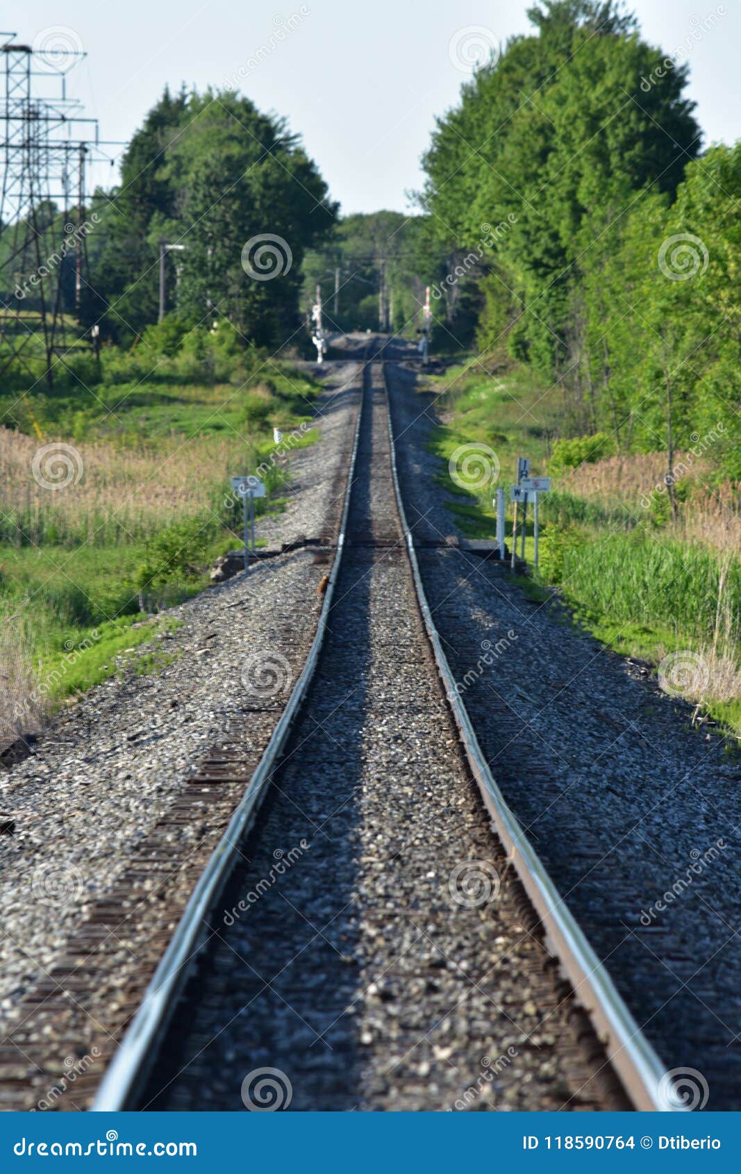 Rural Train Tracks and Trees Stock Photo - Image of green, trees: 118590764