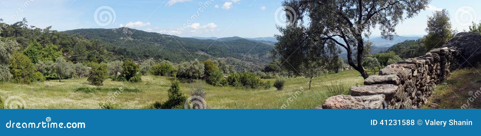 Rural Turkey stock photo. Image of rural, view, tree - 41231588
