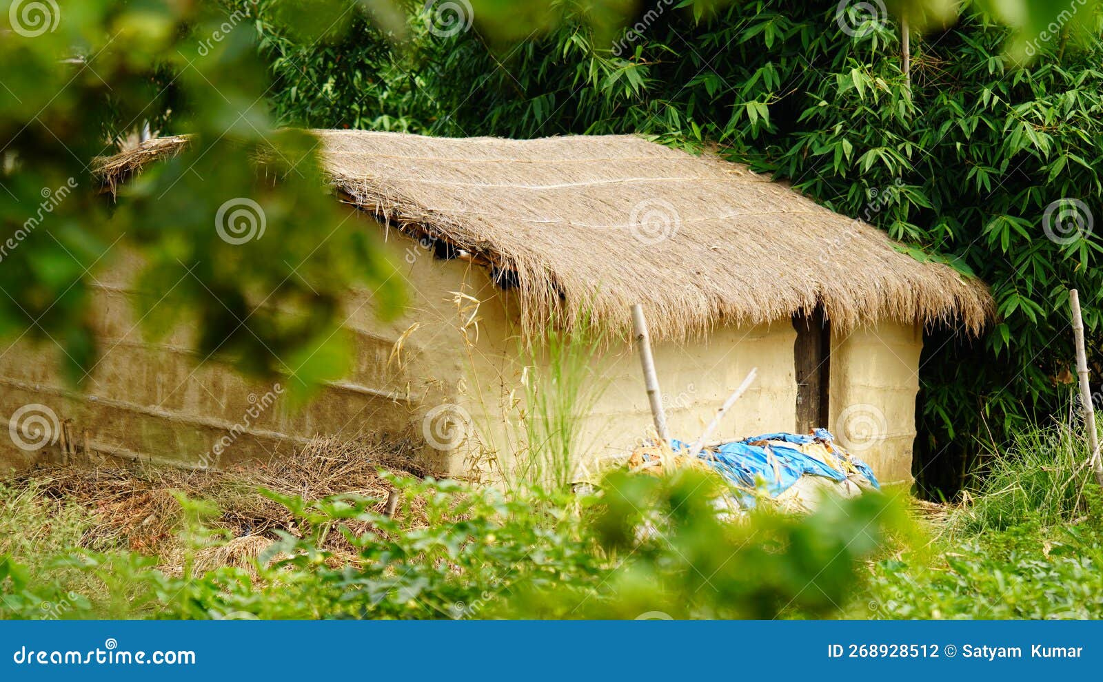 Rural type house image hd stock photo. Image of isolated - 268928512