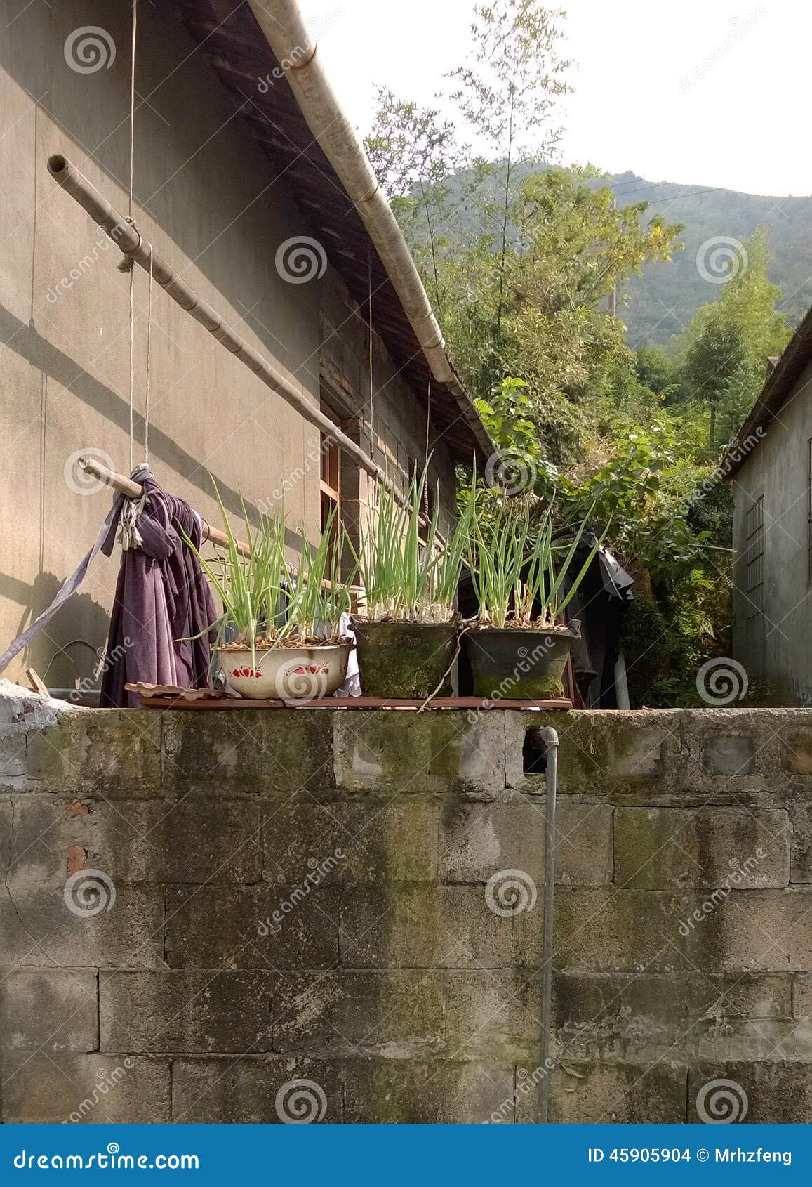 Rural stock photo. Image of life, material, starch, details - 45905904