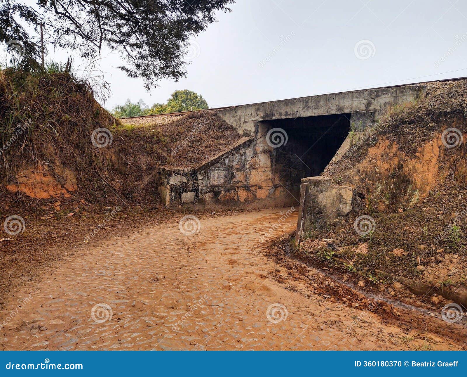 Rural Underpass with Dirt Path Stock Photo - Image of vegetation ...