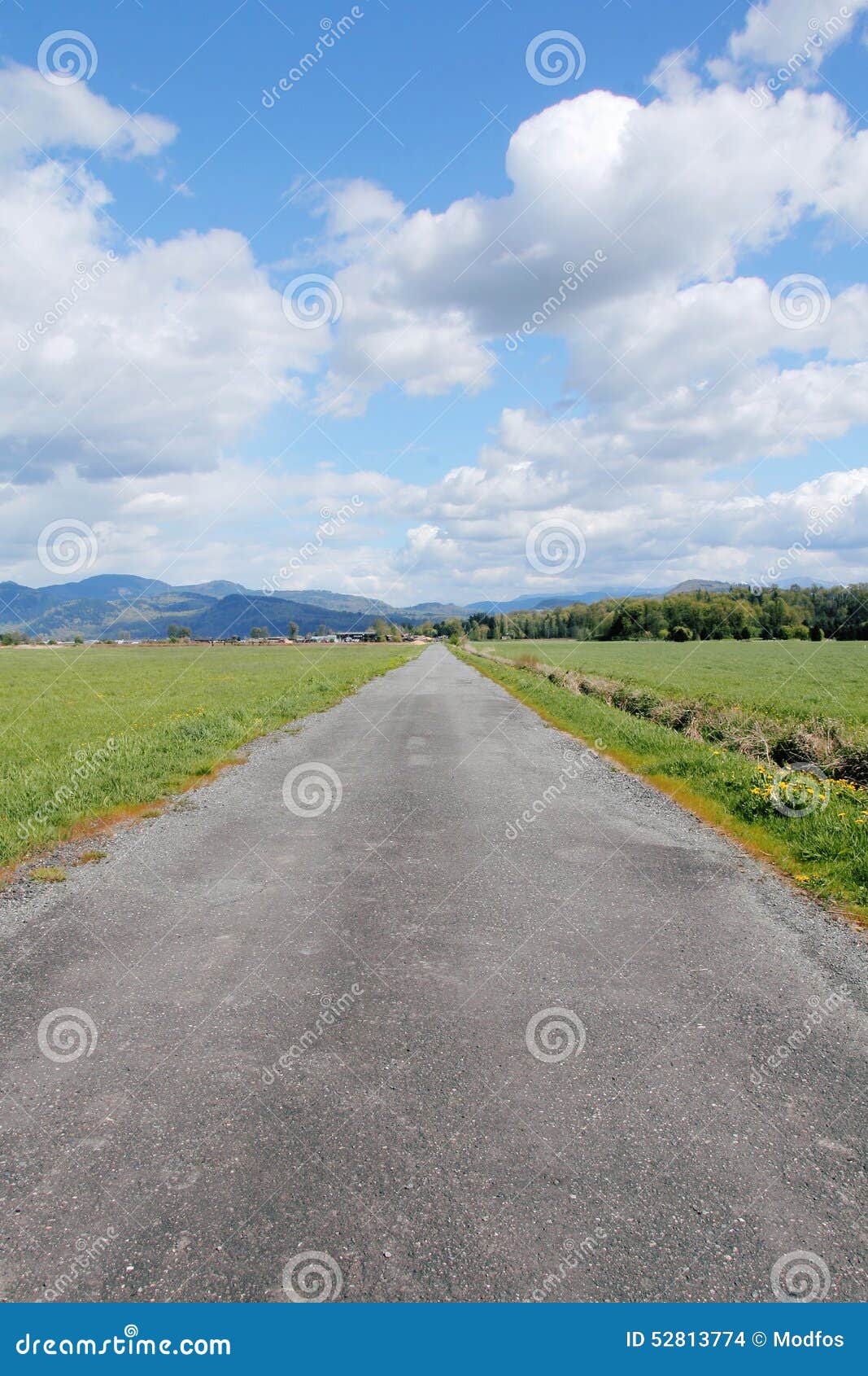 Rural, Unmarked Single Road Stock Photo - Image of bright, narrow: 52813774