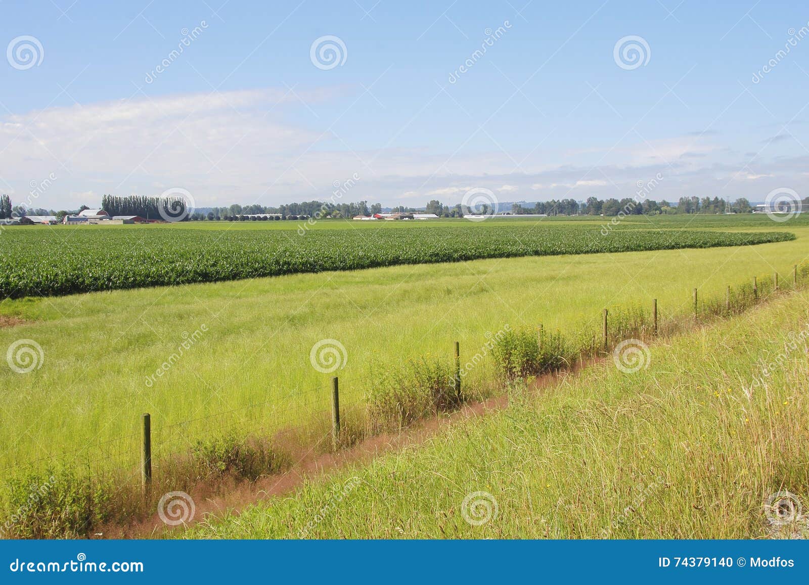 Rural Unpopulated Farm Landscape Stock Photo - Image of grass, mixed ...