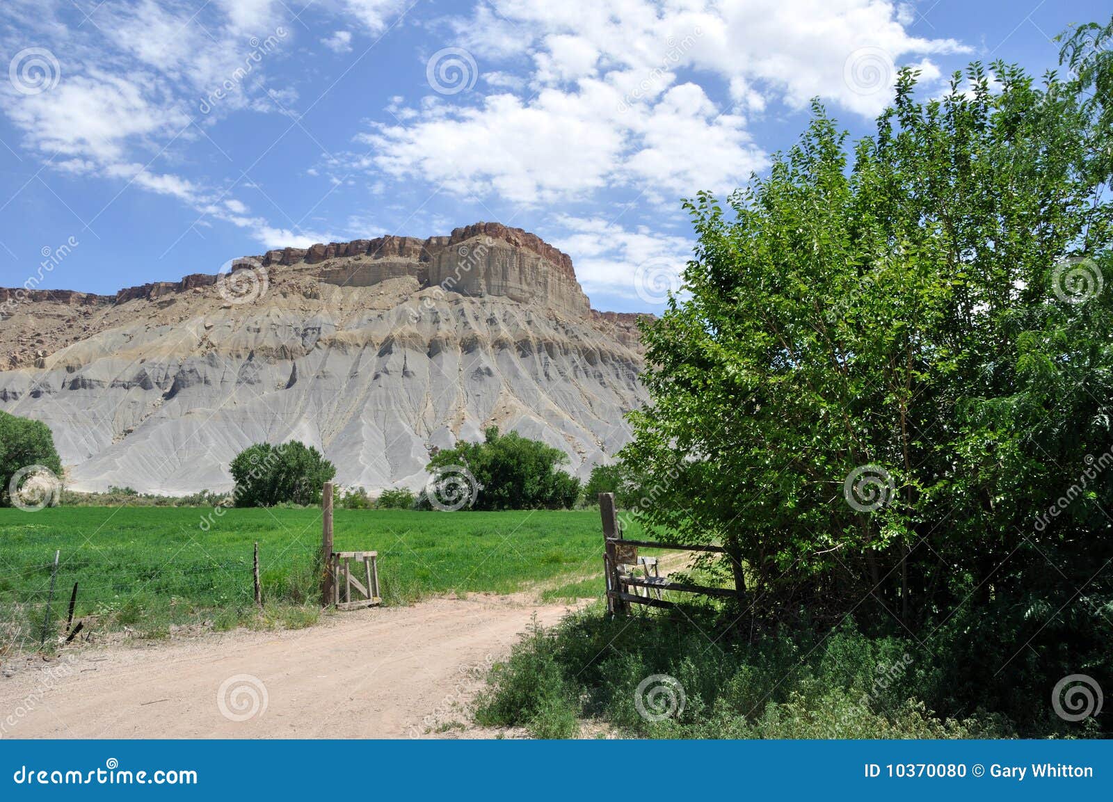 Rural Utah Canyon Country Ranch Stock Photo - Image of barb, barbed ...