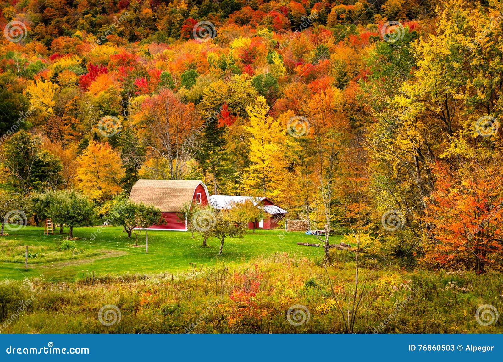 Rural Vermont in Autumn stock image. Image of northeast - 76860503