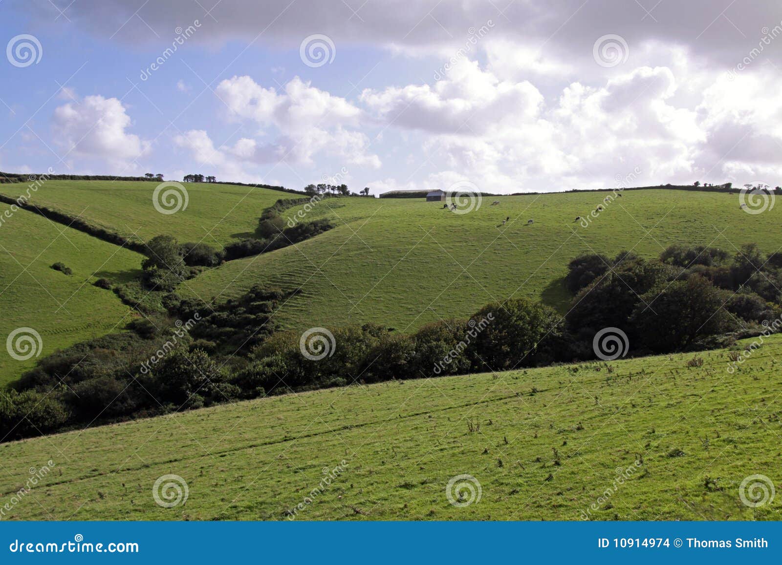 Rural View of Green Farm Land and Sky Stock Photo - Image of ...