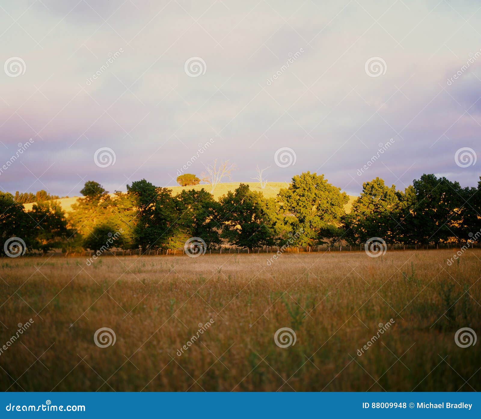 Rural view stock photo. Image of armidale, newengland - 88009948