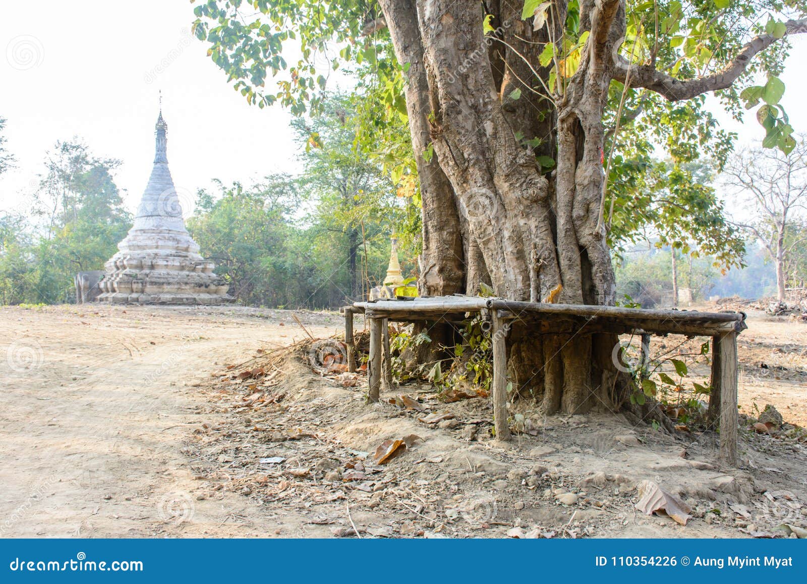 Rural View of Pagoda, Tree and Bench Stock Photo - Image of bench ...