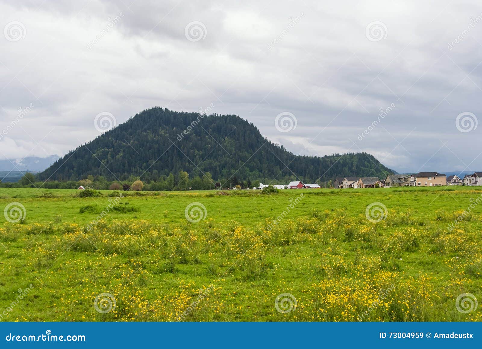Rural View of Village in Oregon USA Stock Image - Image of field, trees ...