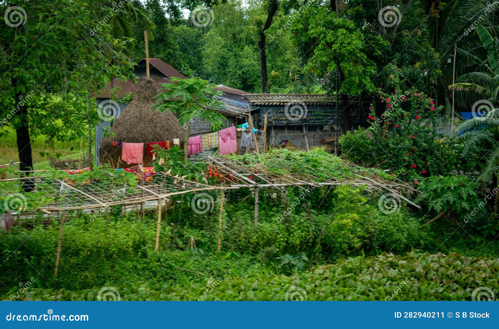 Rural Village Backyard Garden. Landscape Scenery Stock Image - Image of ...