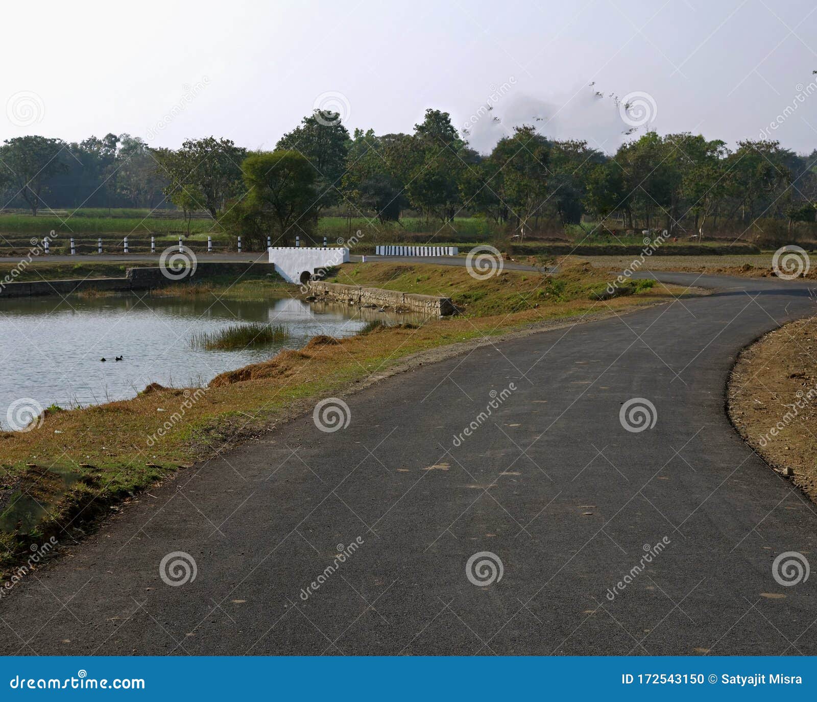A Rural Village Path or Road with S-curve Stock Photo - Image of side ...