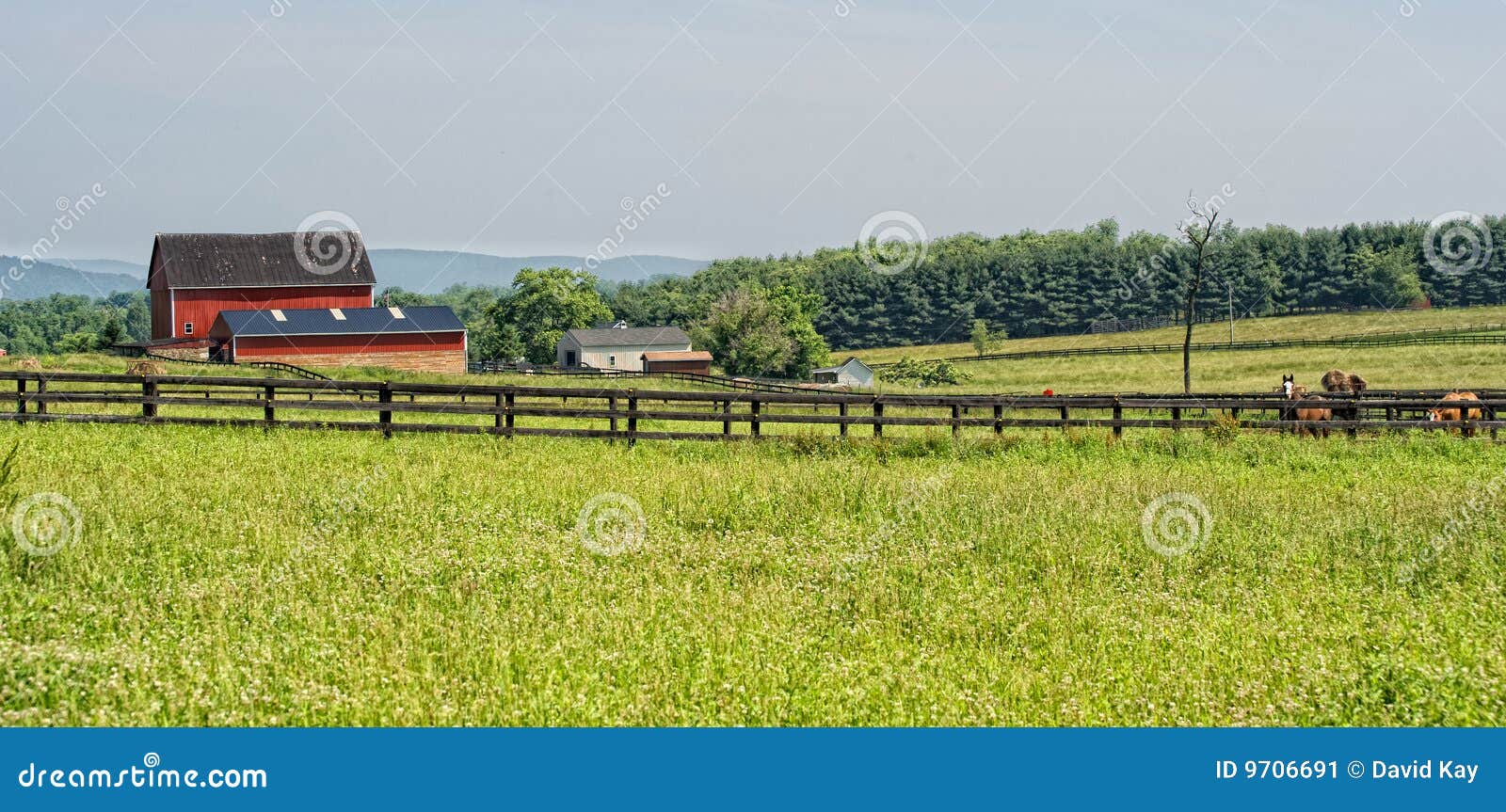 Rural Virginia Scenic stock image. Image of rural, wooden - 9706691