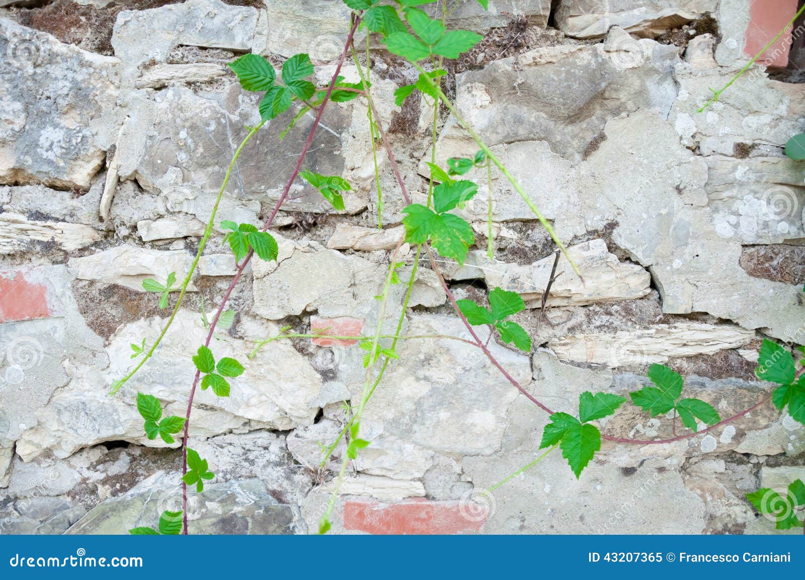 Rural wall stock image. Image of texture, italy, rough - 43207365