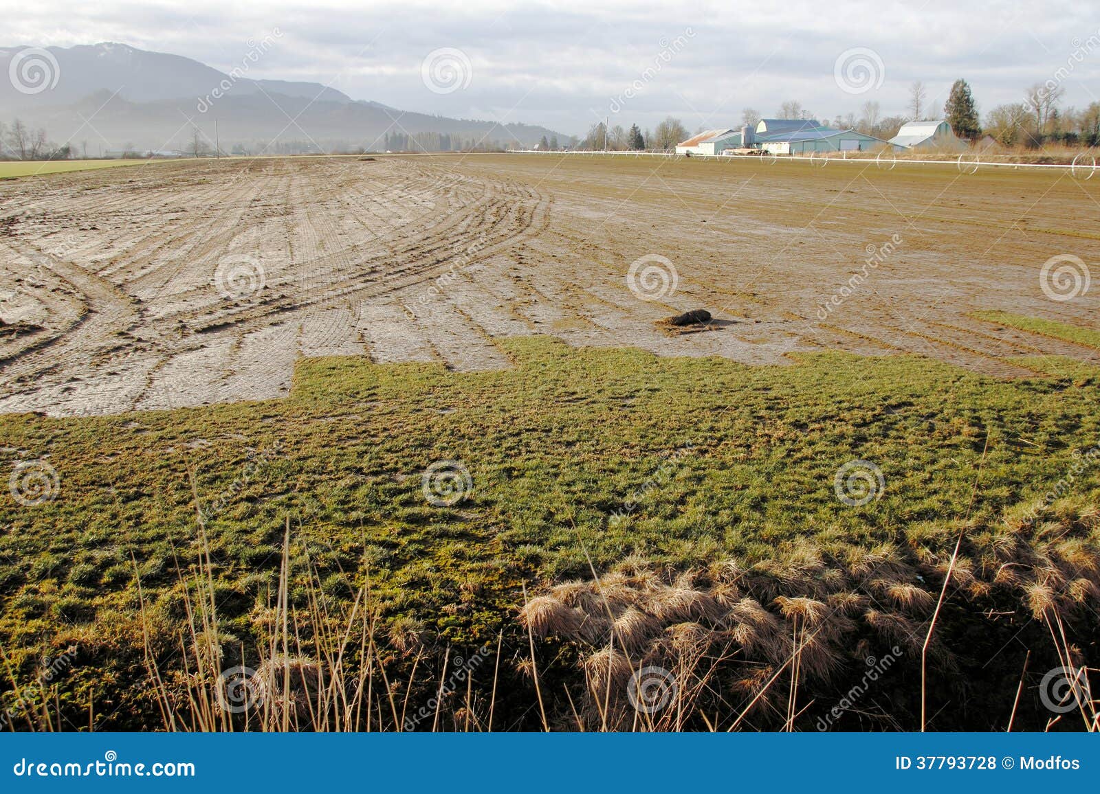 Rural Washington State stock photo. Image of farming - 37793728